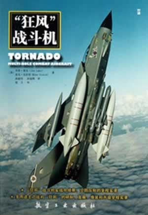 狂风战斗机政治/军事歼击机介绍世界 图书