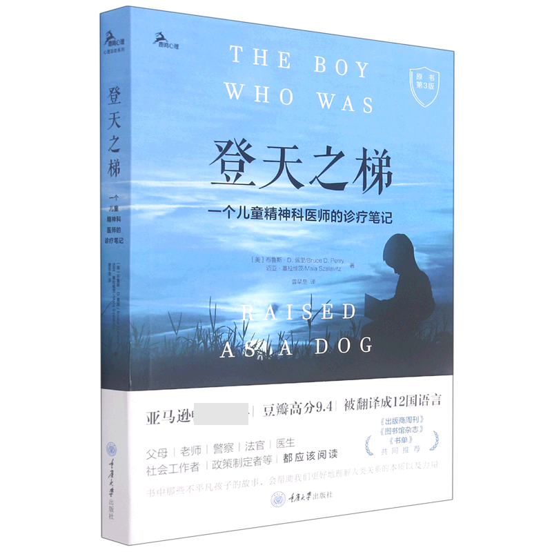 登天之梯(一个儿童精神科医师的诊疗笔记原书第3版)
