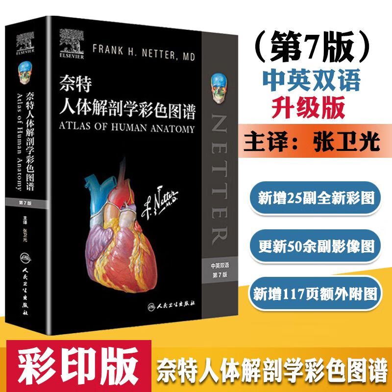 奈特人体解剖学彩色图谱第7版第七版局部耐特解剖格氏解剖图 奈特人体解剖学彩色图谱（第7版） （第7版）