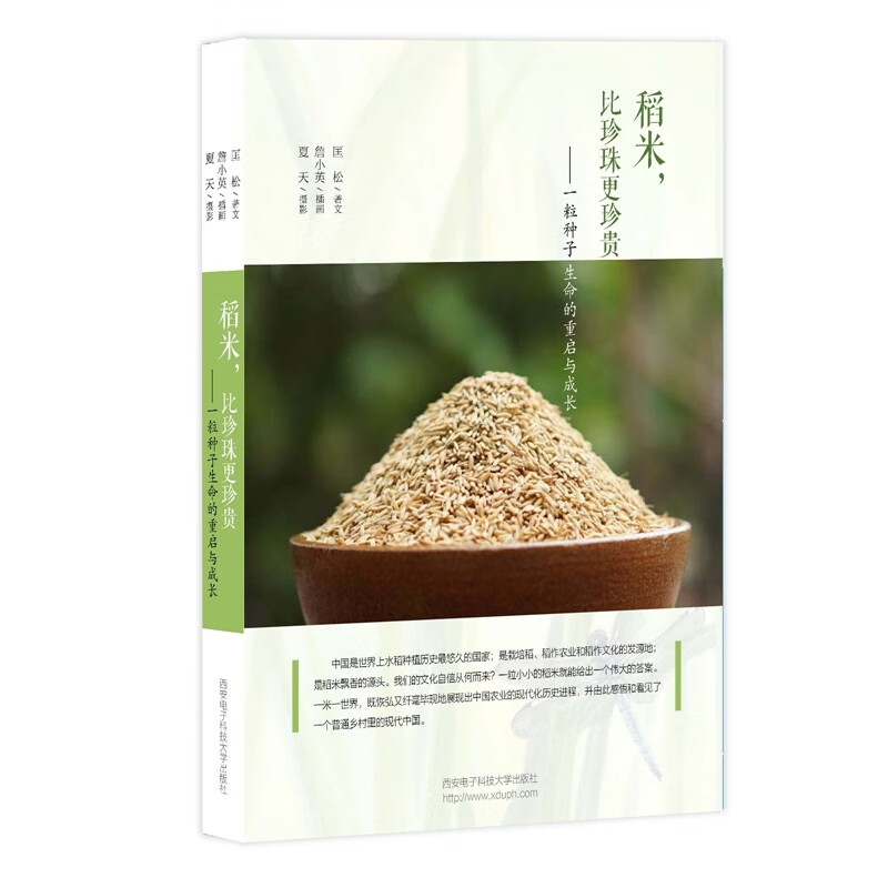 稻米，比珍珠更珍贵—— 一粒种子生命的重启与成长