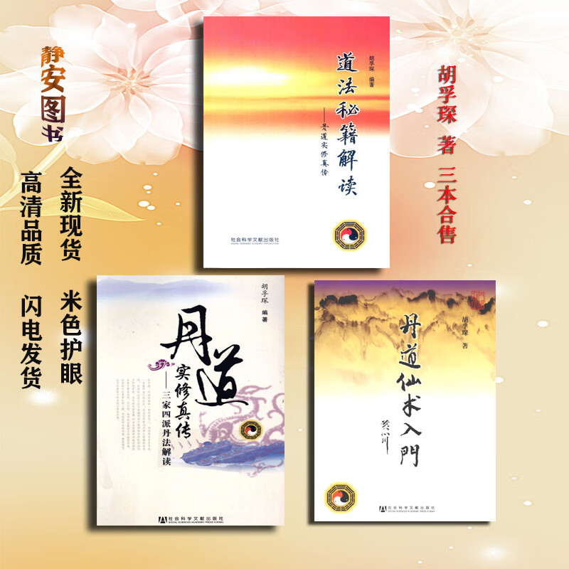 丹道仙术入门丹道实修真传 三家四派丹法解读 道法秘籍解读