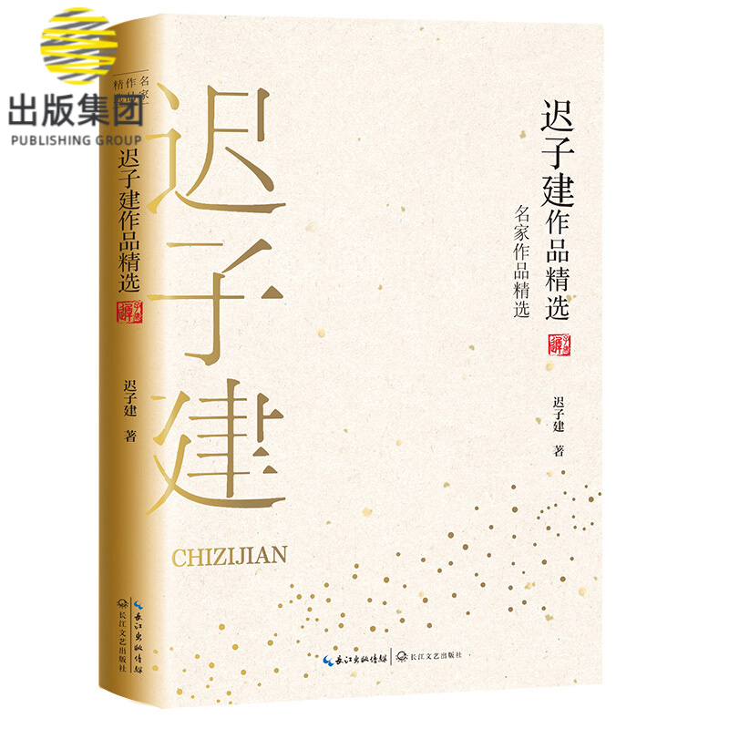 迟子建作品精选/名家作品精选