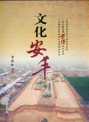文化安丰 贾振林 编著