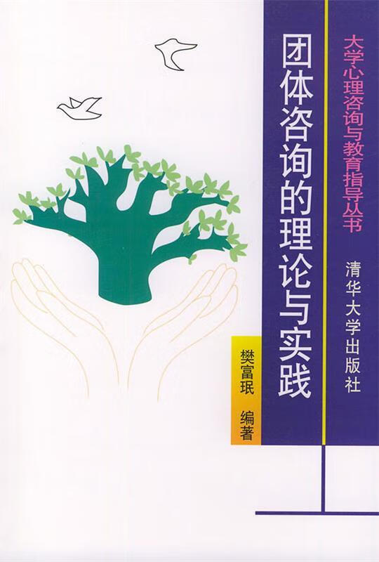 团体咨询的理论与实践