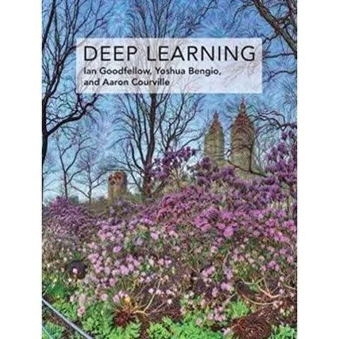 现货英文版纸质书Deep Learning 深度学习