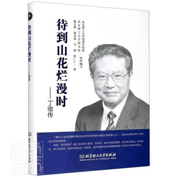 待到山花烂漫时：丁(忄敬)传