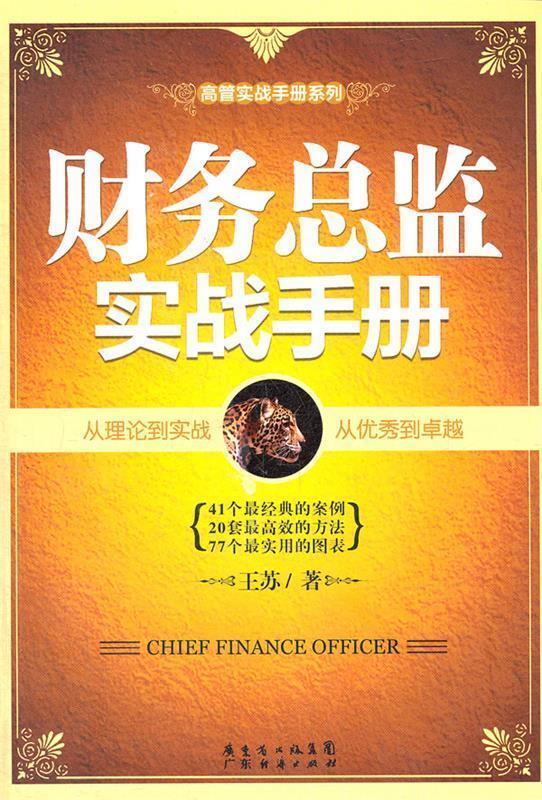 财务总监实战手册 王苏著