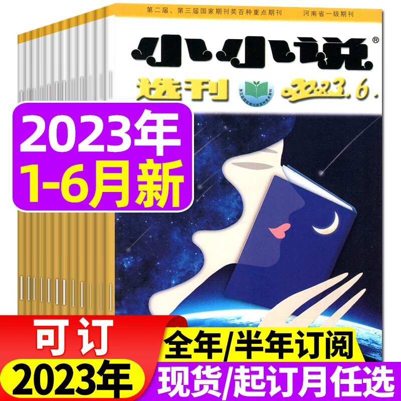 小小说选刊杂志2022年-2023年订阅【另有全年/半年订阅/新期打包/单本/微型小说选刊可选】微型小说大众文学期刊 【半年珍藏】2023年1-6月