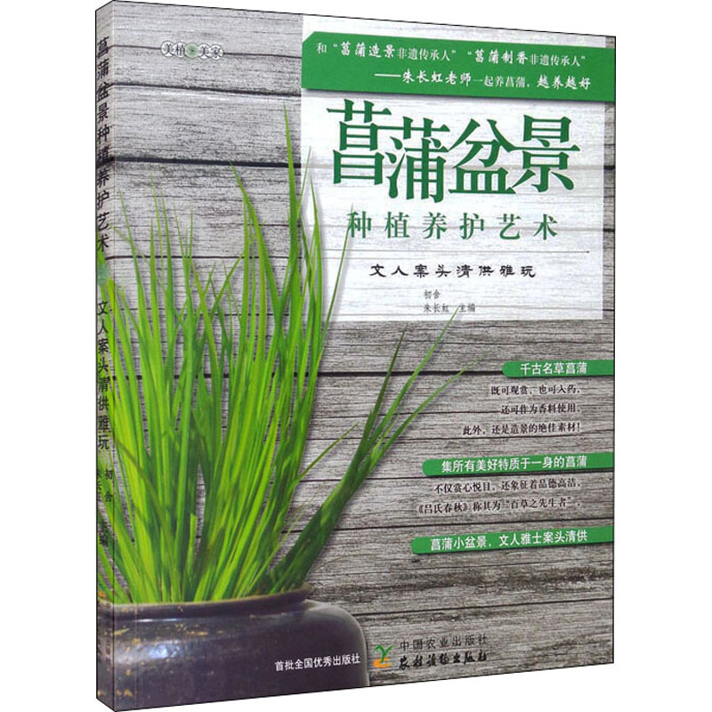 菖蒲盆景种植养护艺术 文人案头清供雅玩