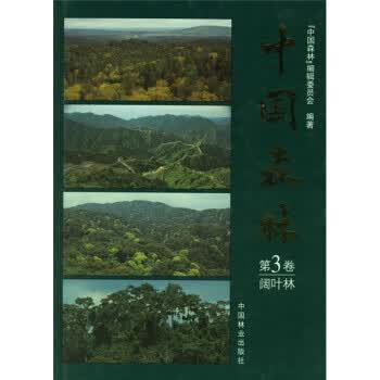 中国森林3:阔叶林