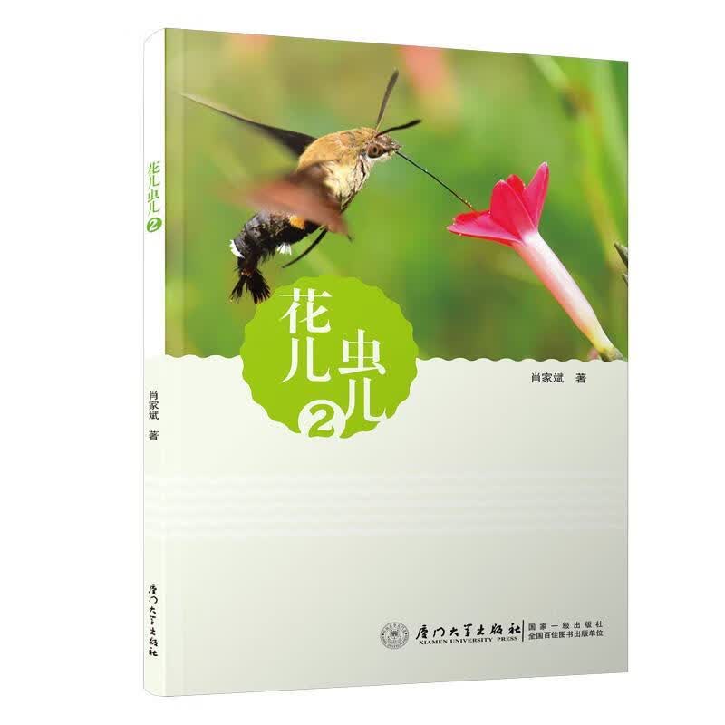 花儿虫儿：2