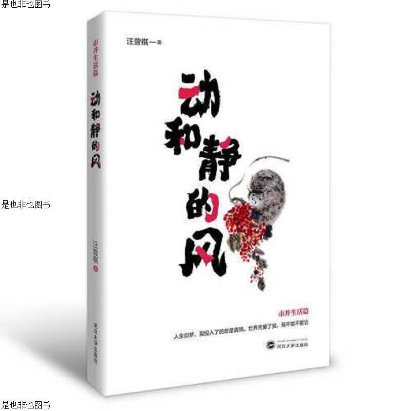 动和静的风