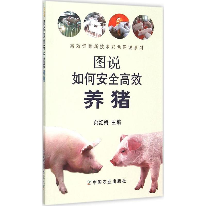 图说如何安全高效养猪
