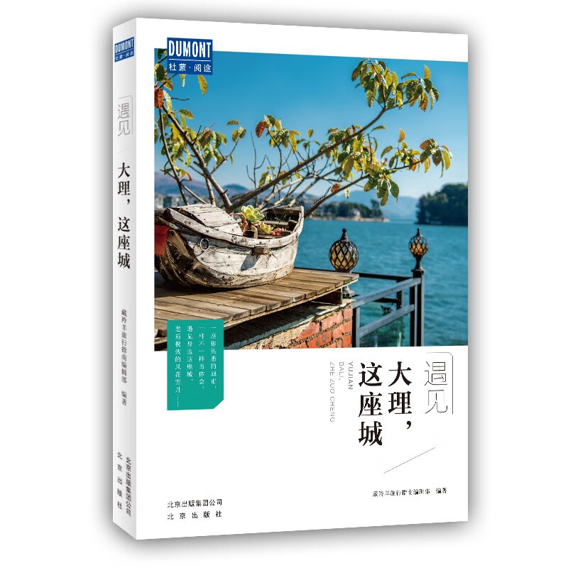 遇见这座城系列全12册重庆大理南京杭州西安上海成都厦门北京广州青岛苏州旅游指南攻略中国历史文化旅游小百科人文地理周边游美食 遇见大理这座城
