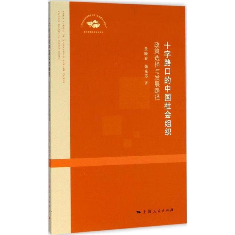 十字路口的中国社会组织:政策选择与发展路径