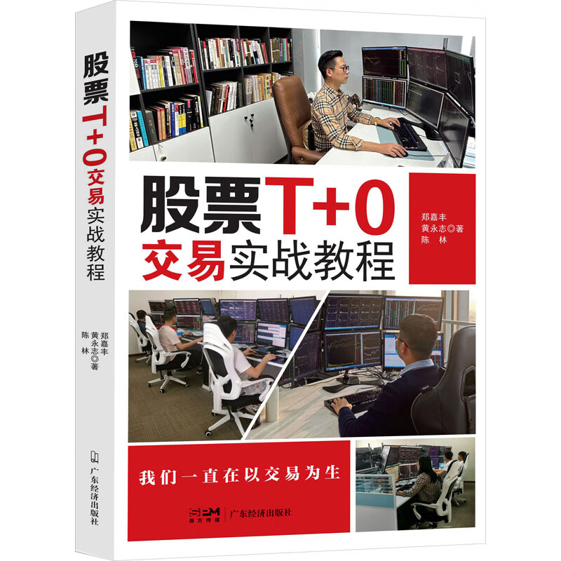 股票T+0交易实战教程 图书