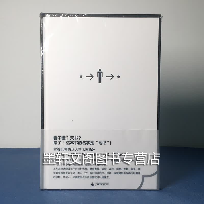 书 地书：从点到点 徐冰著 广西师范大学 北京贝贝特 理想国出品