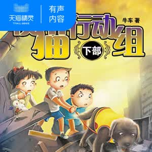 【精灵有声内容】夜猫行动组（下部）