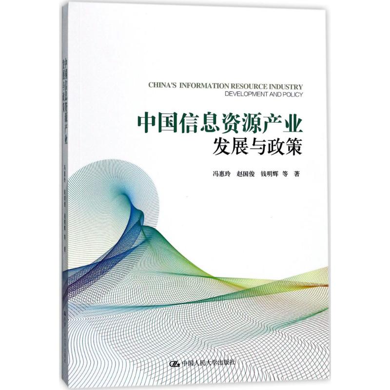 中国信息资源产业发展与政策