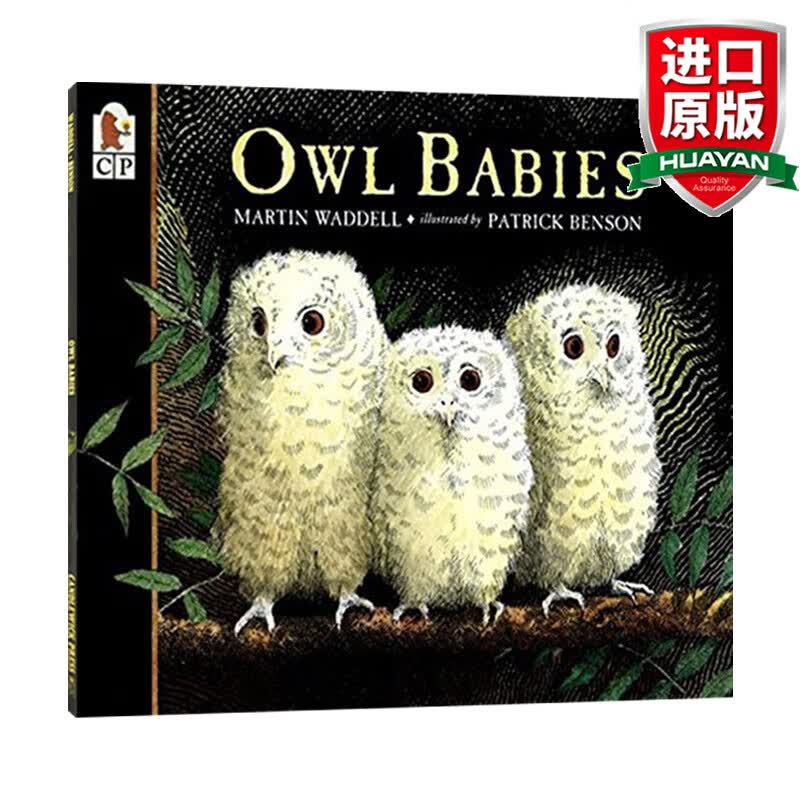 Owl Babies 英文原版绘本 小猫头鹰 童趣绘本 学前教育 4-6岁 Martin Waddell 英文版 进口英语原版书籍