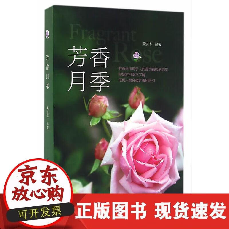 【现货】芳香月季