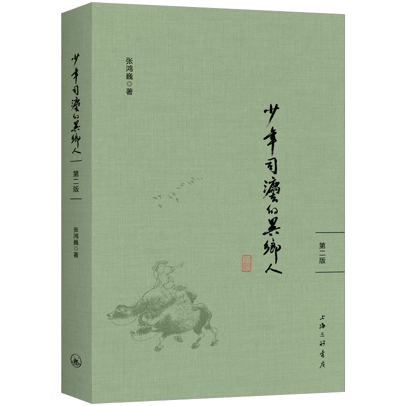少年司法的异乡人（第二版）