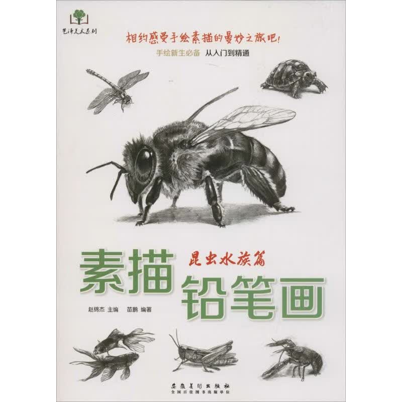 素描铅笔画  族篇