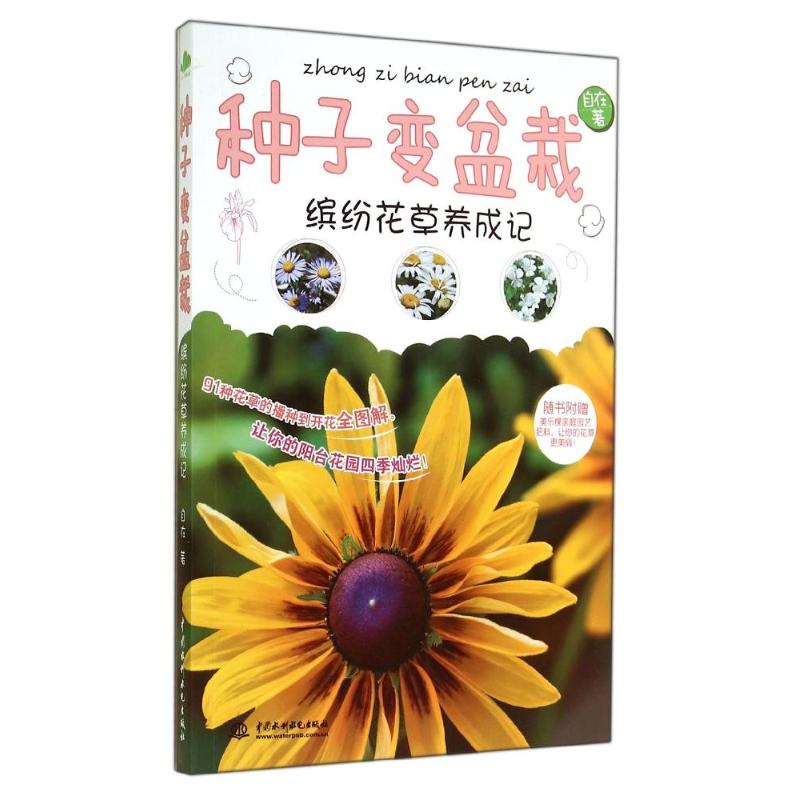 种子变盆栽