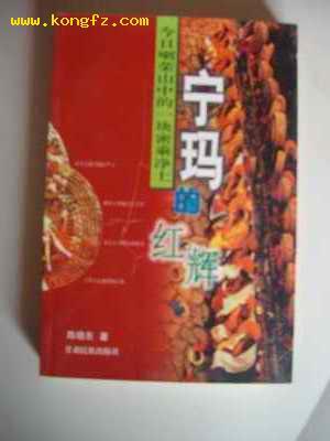 宁玛的红辉 陈晓东
