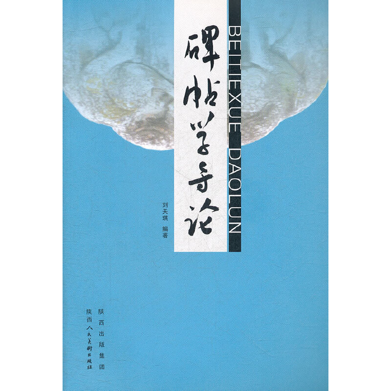 碑帖学导论 刘天琪【好书，下单速发】