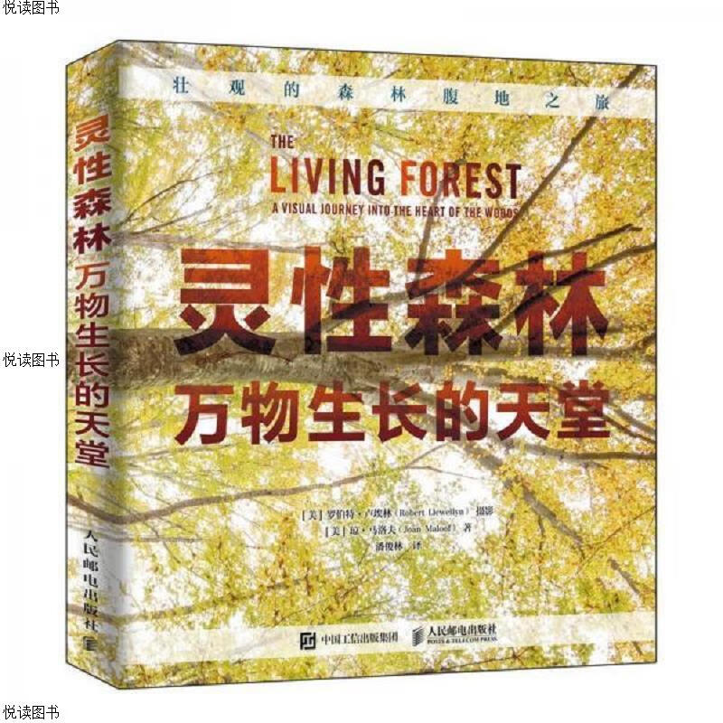 灵性森林:万物生长的天堂