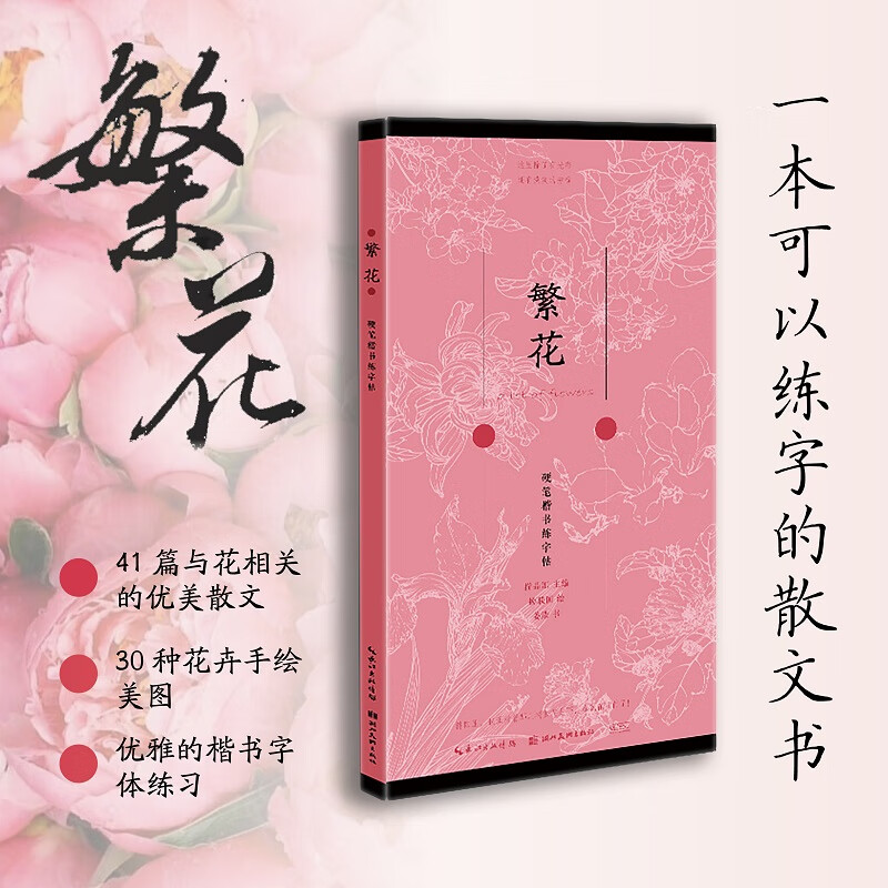 【赠8张信笺纸】繁花 硬笔楷书练字帖 书法临摹练字教程基础训练楷体技法初学者入门初中学生钢笔教材书籍 湖
