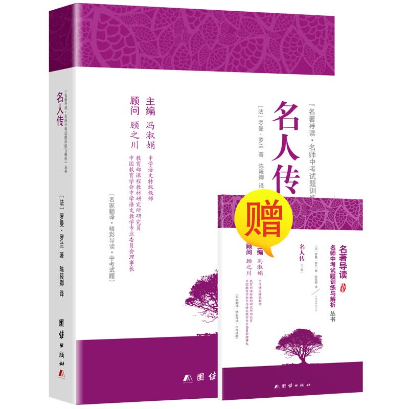 名人传记罗曼罗兰 中小学生课外推荐阅读丛书（随书赠名著导读与名师中考试题）