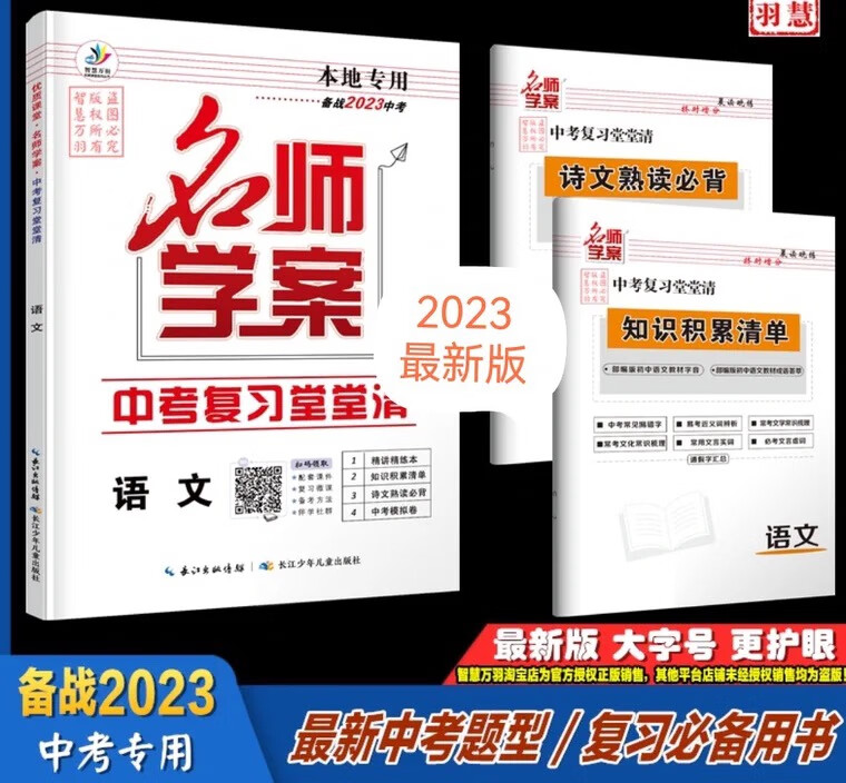 2023中考版 名师学案 中考复习堂堂清 语文 总复习 总复习