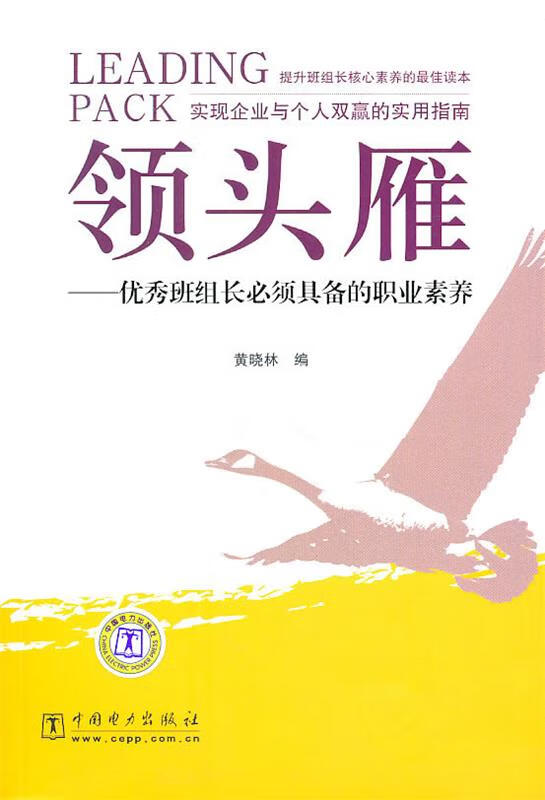 领头雁 黄晓林