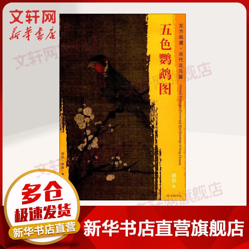 五色鹦鹉图