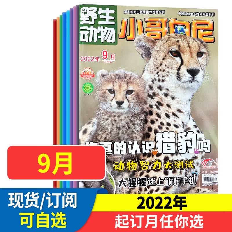 小哥白尼野生动物杂志【2023年1-12月全年半年订阅】当月前现货孩子课外阅读青少年科普杂志期刊 2022年9月现货