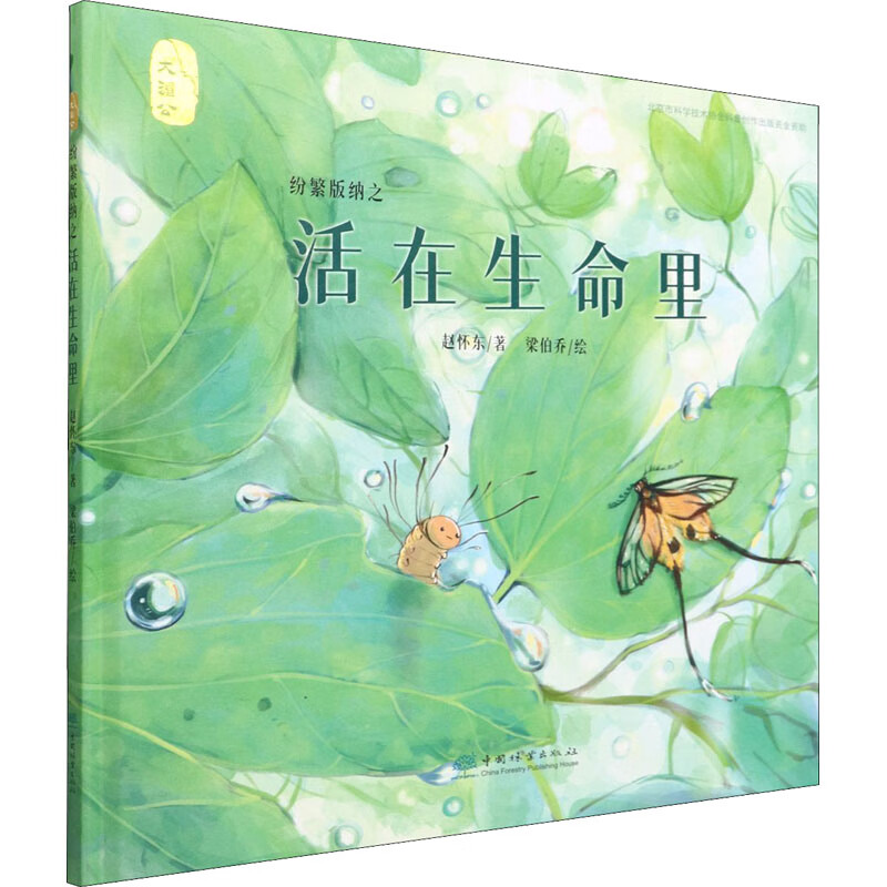 纷繁版纳之活在生命里