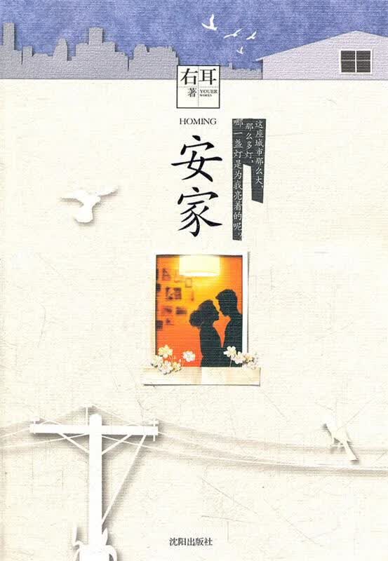 安家【好书，下单速发】