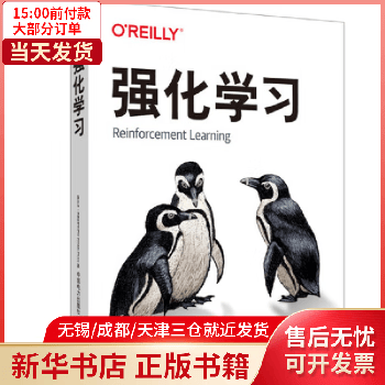 计算机与互联网/人工智能 强化学习 全新