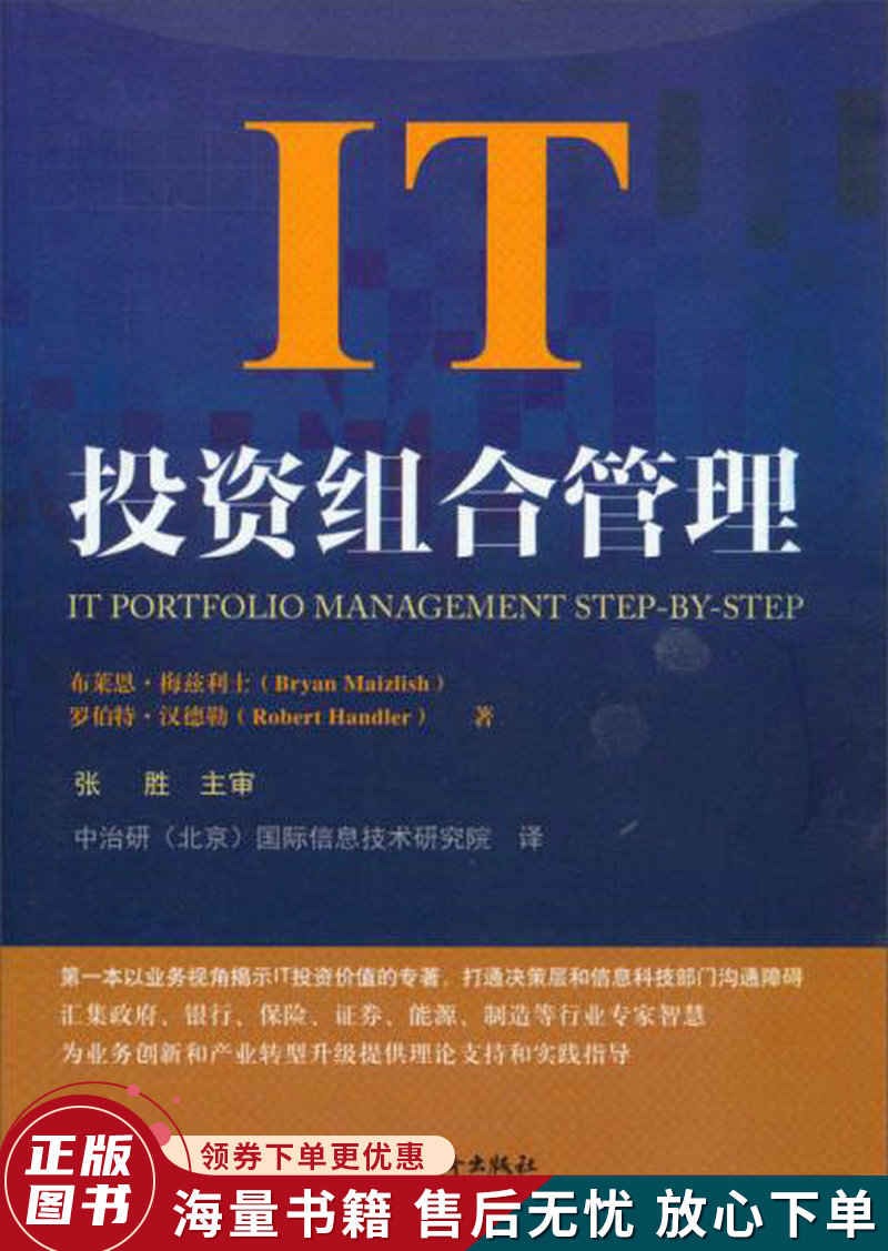IT投资组合管理