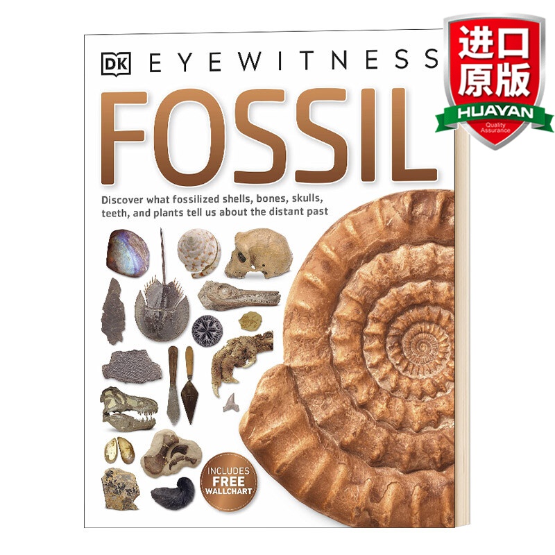 Fossil DK Eyewitness 英文原版 目击者系列 化石 英文版 进口英语原版书籍