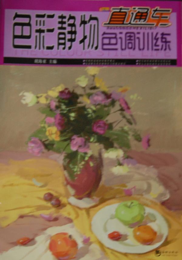 色彩静物色调训练胡海亚绘画9787515704197
