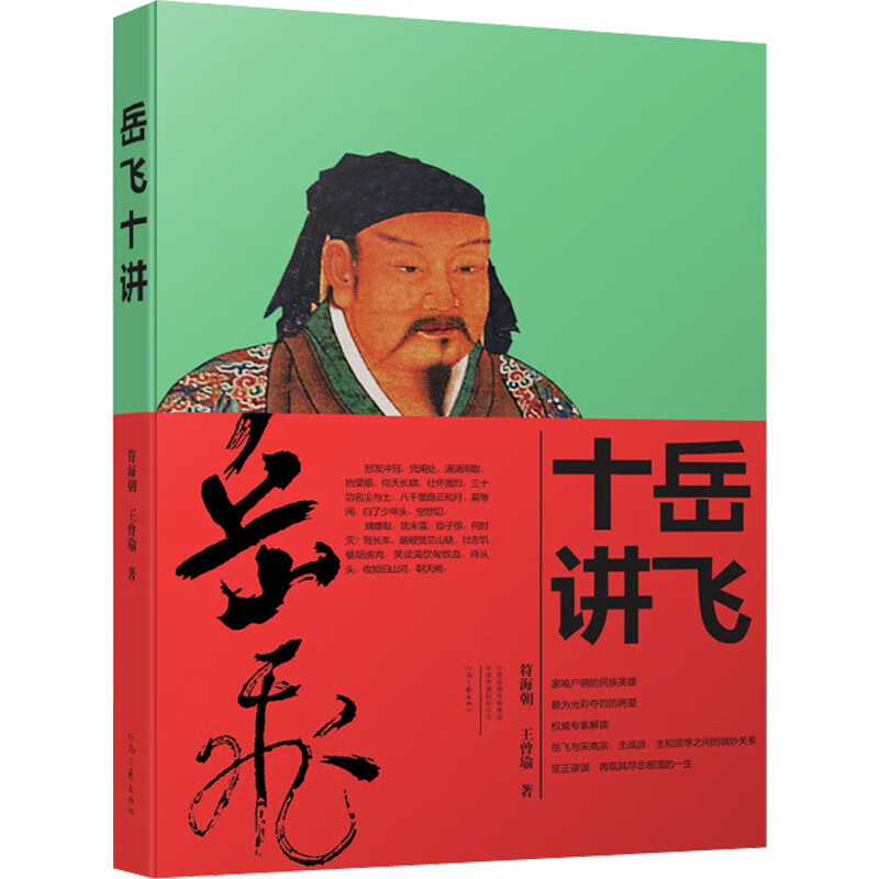 岳飞十讲 图书