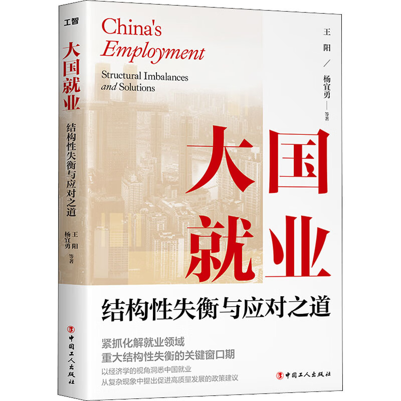 大国就业 结构性失衡与应对之道 图书
