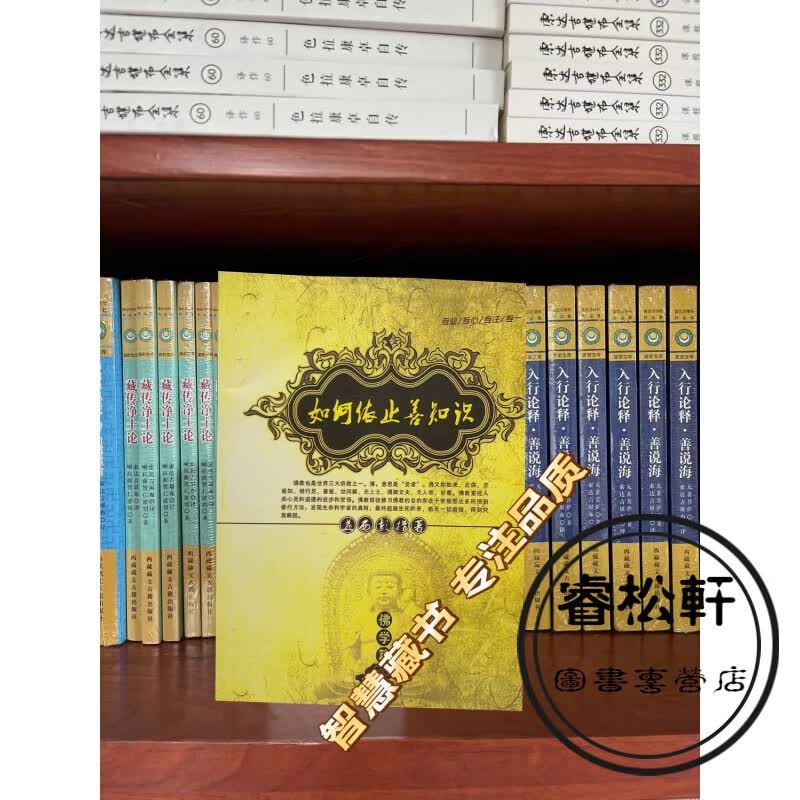 如何依止善知识 16开本 YS 16开大本