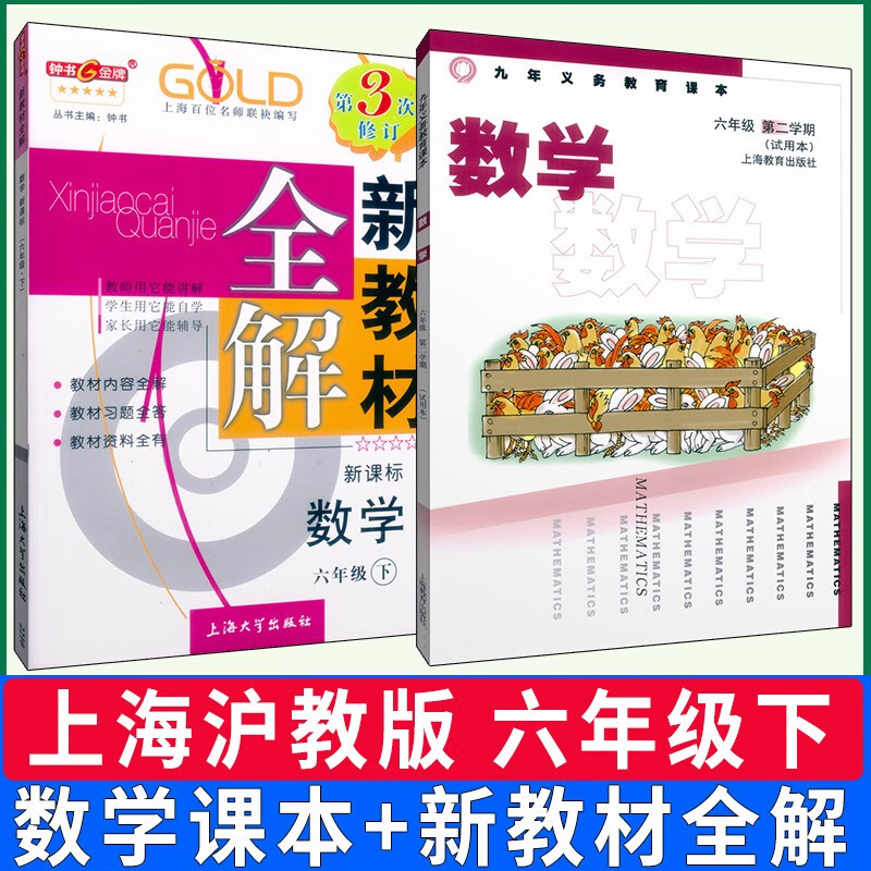 沪教版上海教材课本教科书 数学书+新教材全解六年级第二学期6年级下册 上海专用