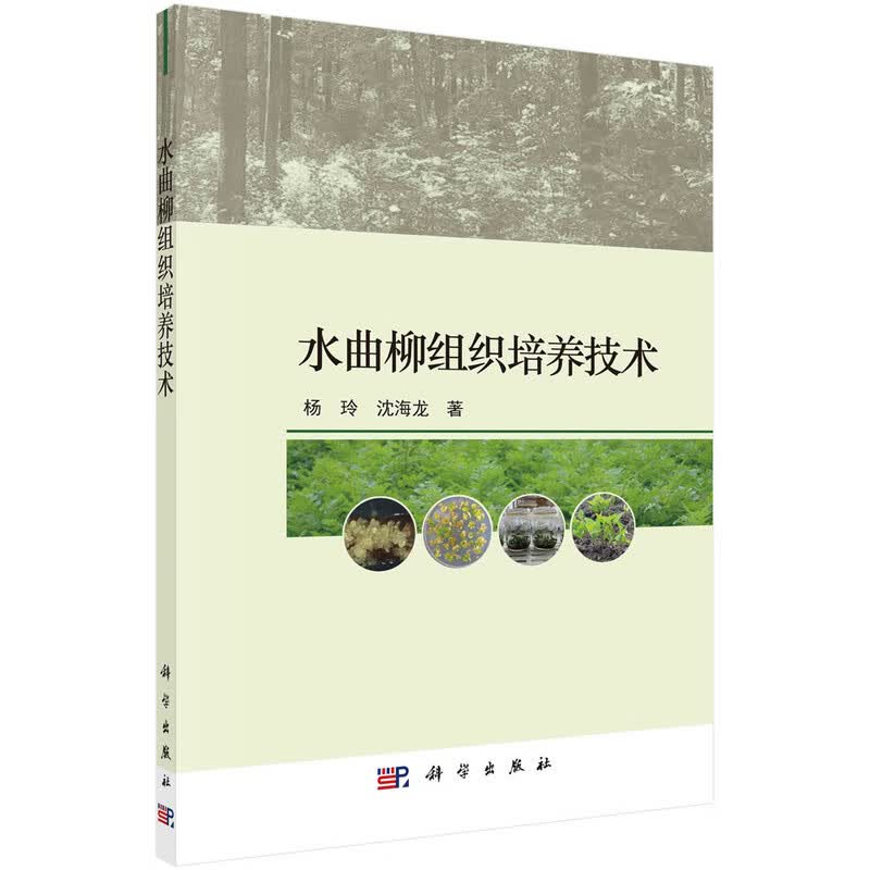 水柳组织培养技术