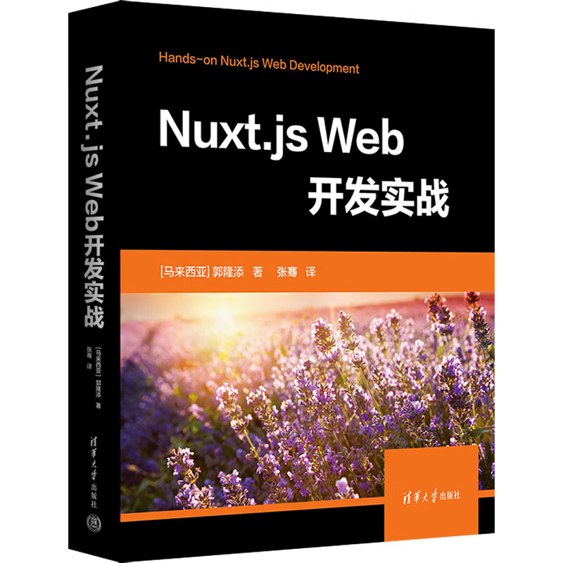 Nuxt.js Web开发实战 图书