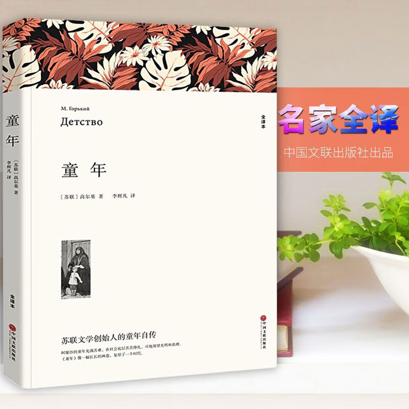 经典世界名著高中名著战争与和平简爱童年复活红与黑悲惨世界 童年